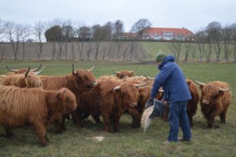 Deens eiland Samsø leeft van de wind | Energeia
