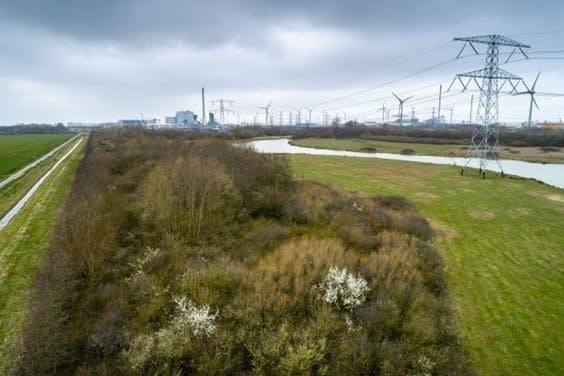 Bouwbedrijf KWS verliest kort geding tegen Tennet over hoogspanningslijn | Energeia