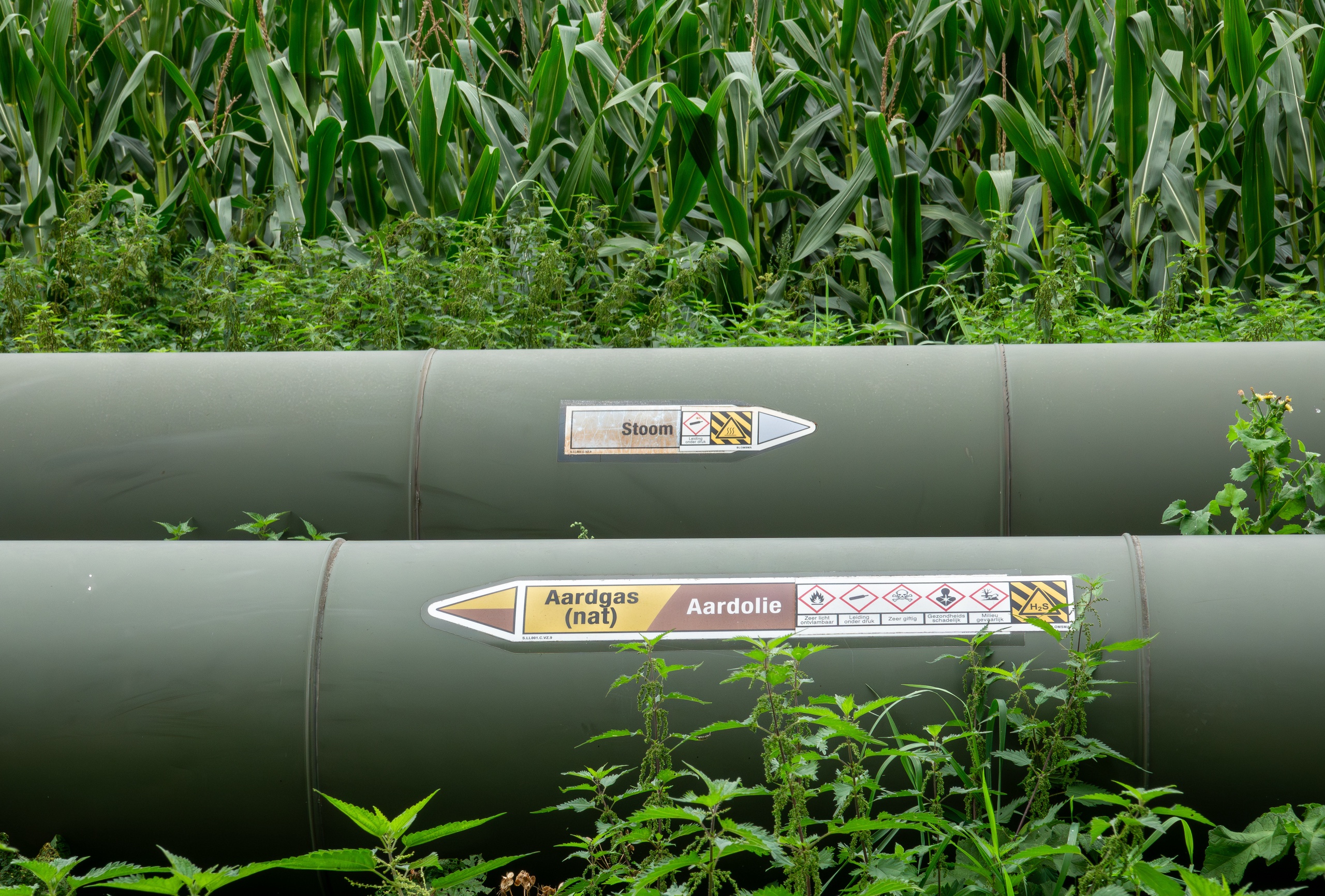 SODM met frisse tegenzin akkoord met NAM-onderzoek naar productiewater ...